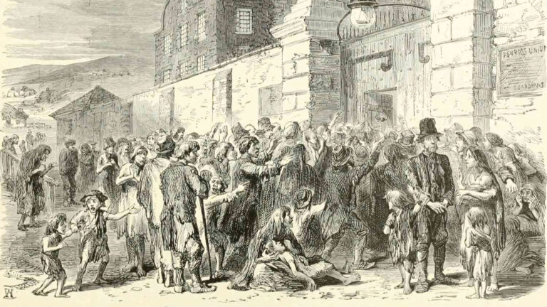 The Irish Potato Famine - Compact Histories