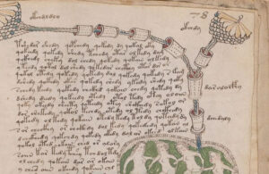 The Mystery of the Voynich Manuscript - Compact Histories