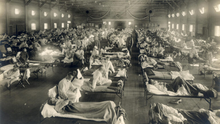 The Spanish Flu Pandemic - Compact Histories